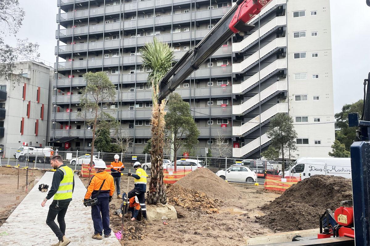 Enticing Urban Green Space | Growth Civil Landscapes